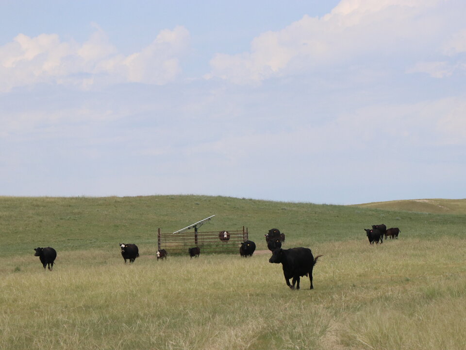 Educational Events | UNL Beef | Nebraska