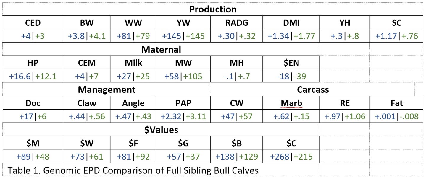 Translating and Applying Genomic EPDs | UNL Beef | Nebraska