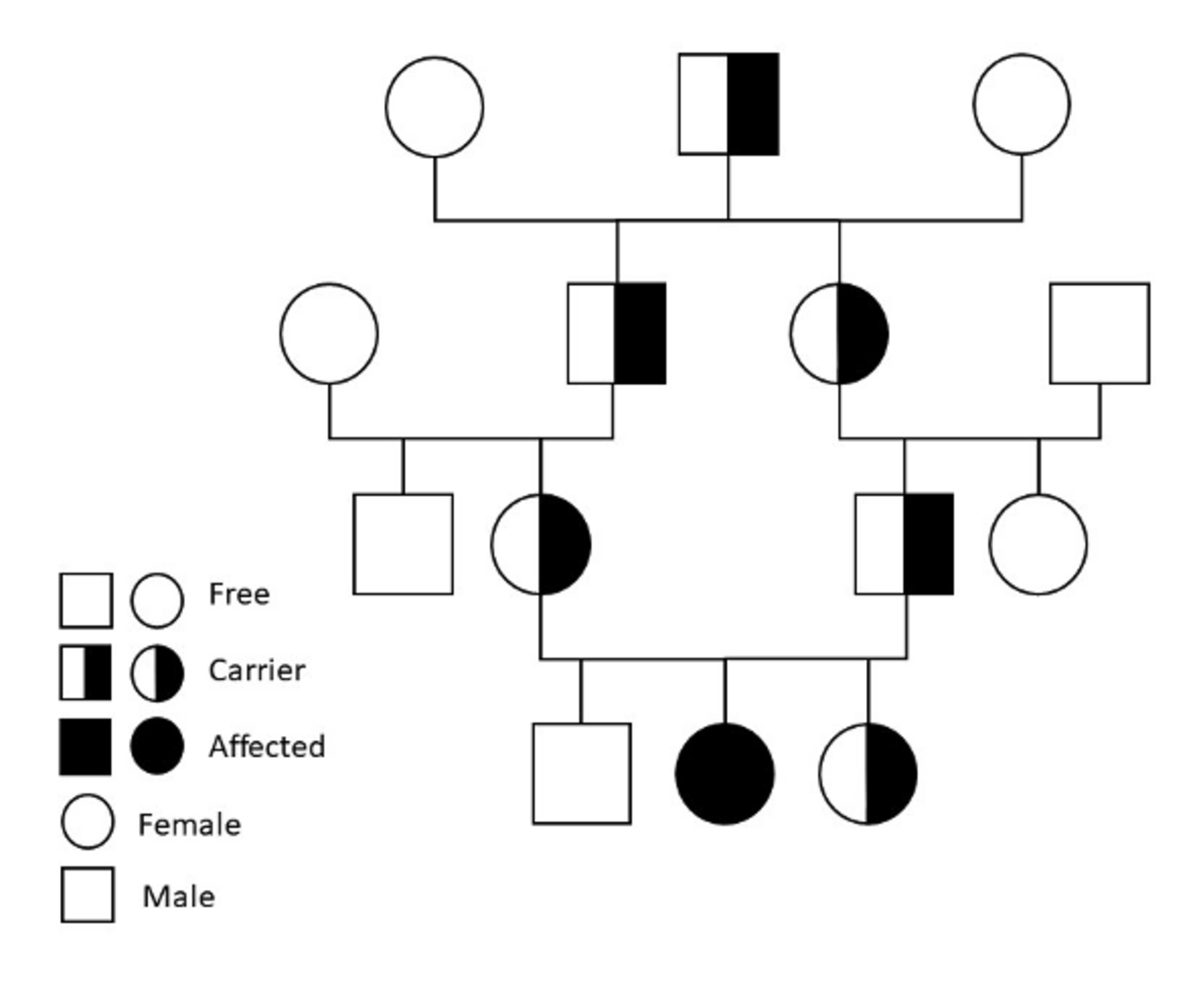 UNL contributes to the identification of new genetic defects in cattle ...