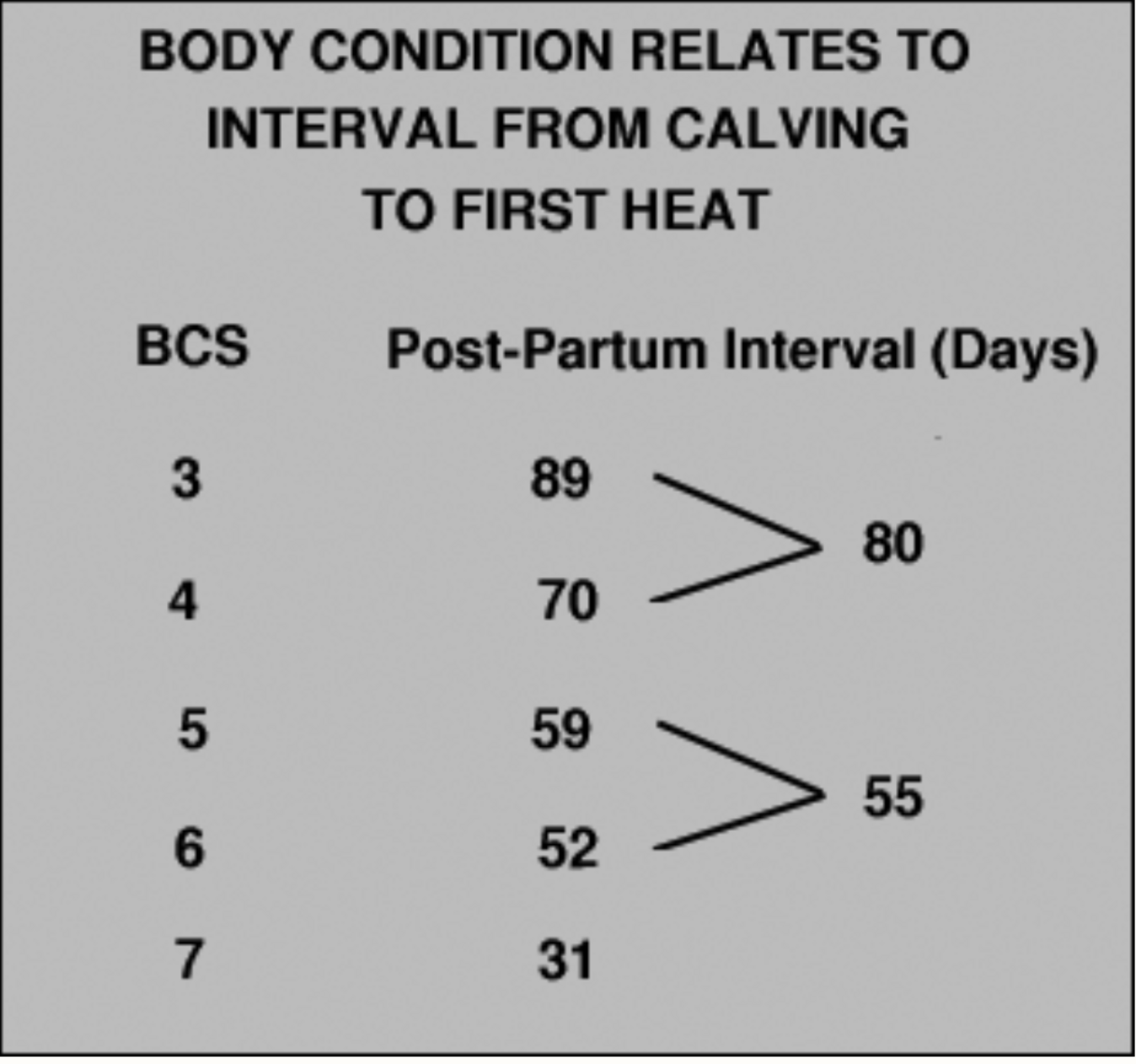 Guide to Body Condition Scoring Your Beef Cow Herd | UNL Beef | Nebraska
