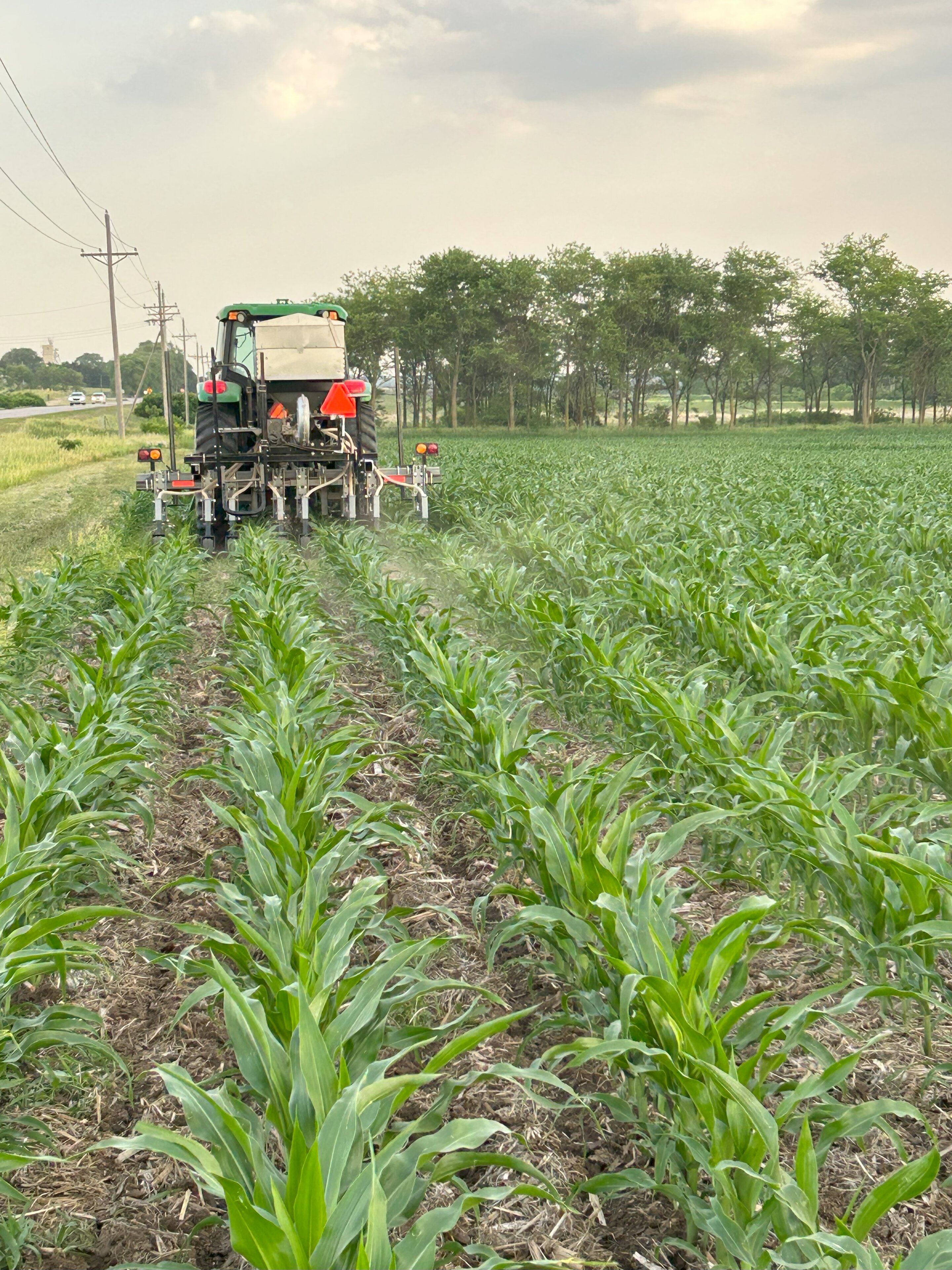 Cover Crop Inter-seeding: An Option for Fall Forage? | UNL Beef | Nebraska
