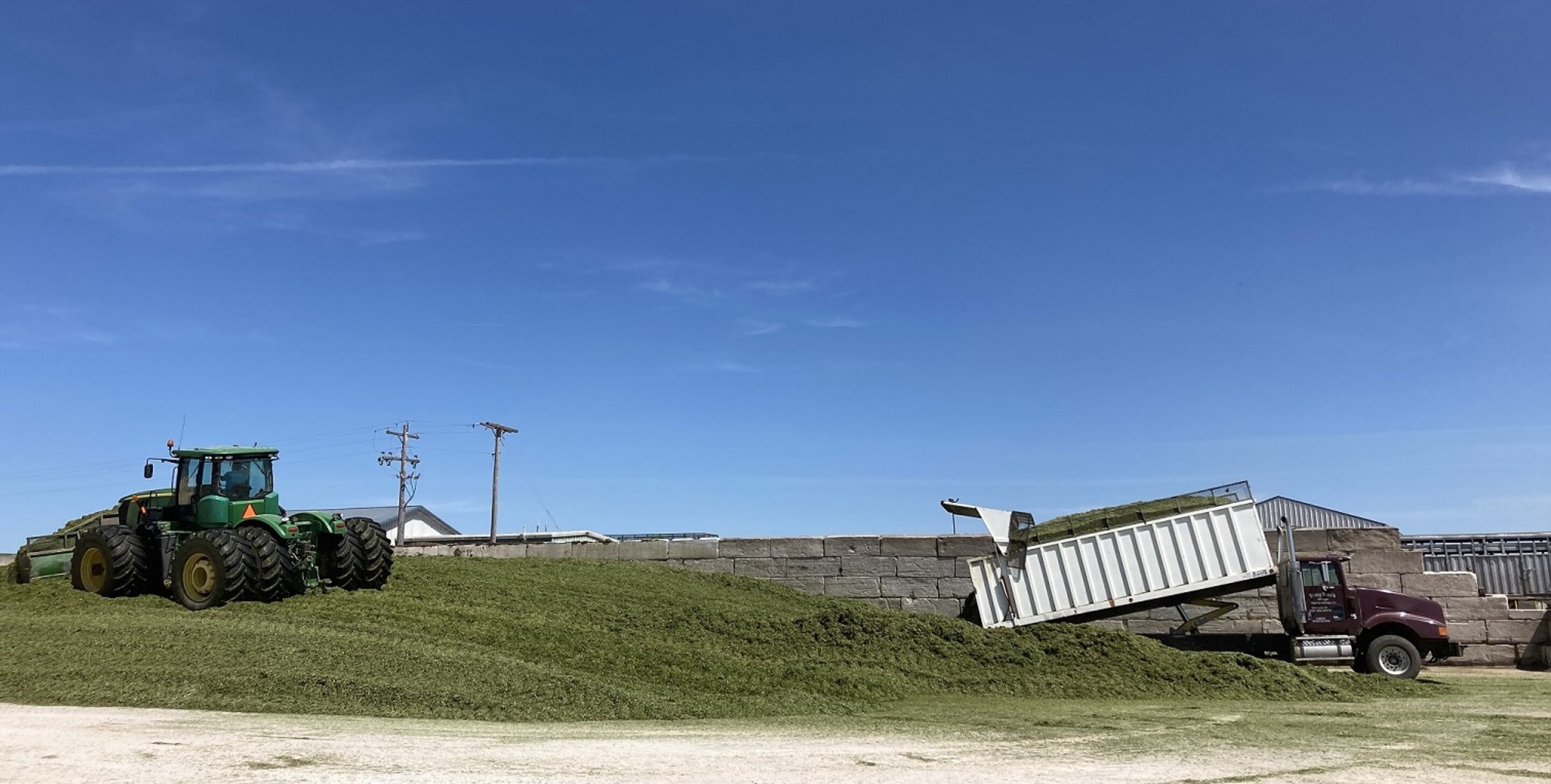 Packing Small Grain Silage When It Is Too Wet Can Be a Costly Mistake ...