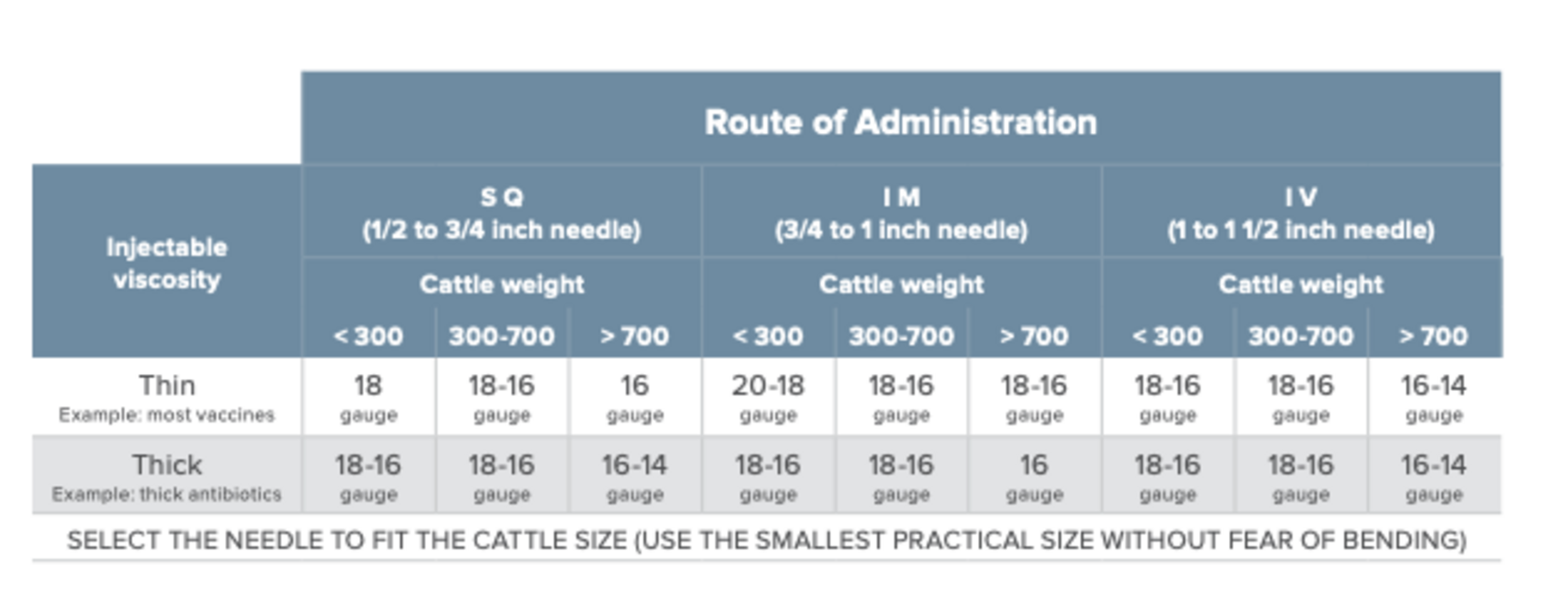 Best practices for needle selection, use and care in cattle health ...