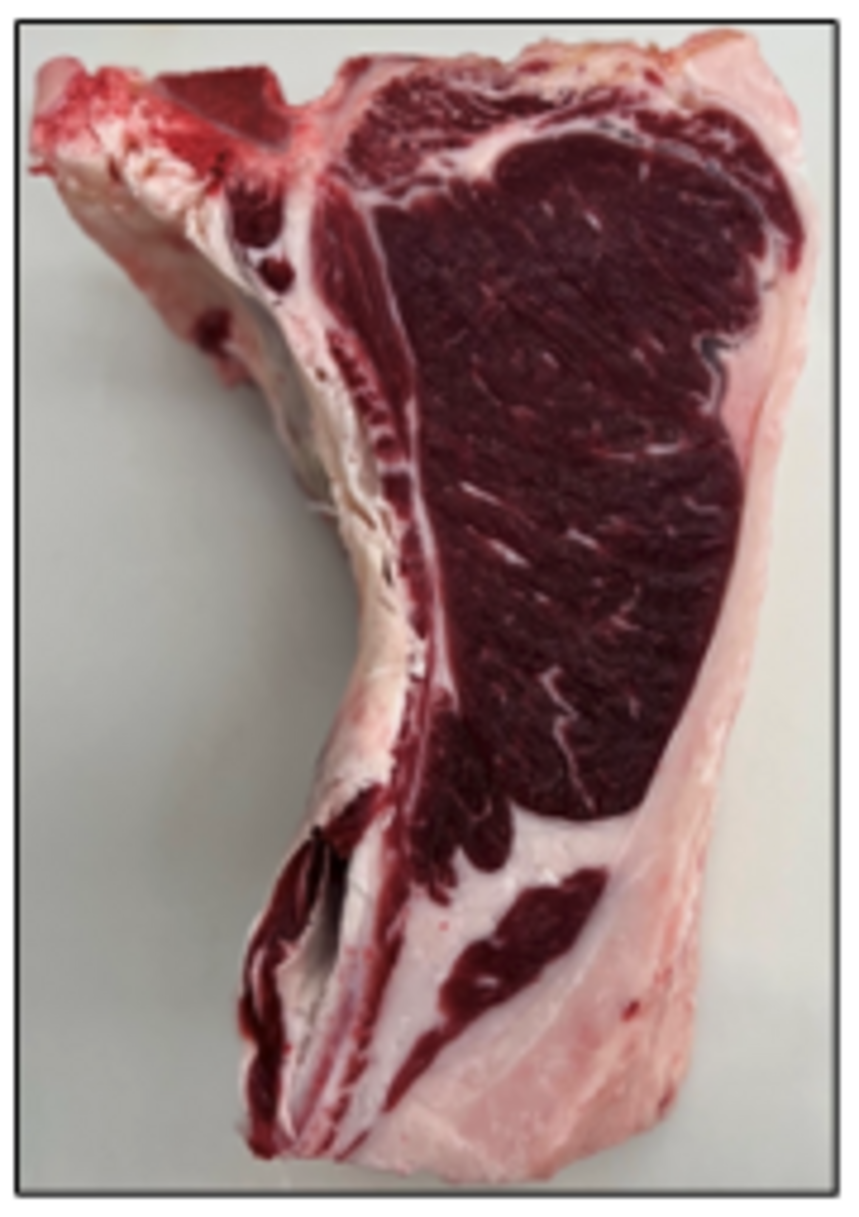 Nebraska team identifies new genetic defect impacting cattle morbidity ...