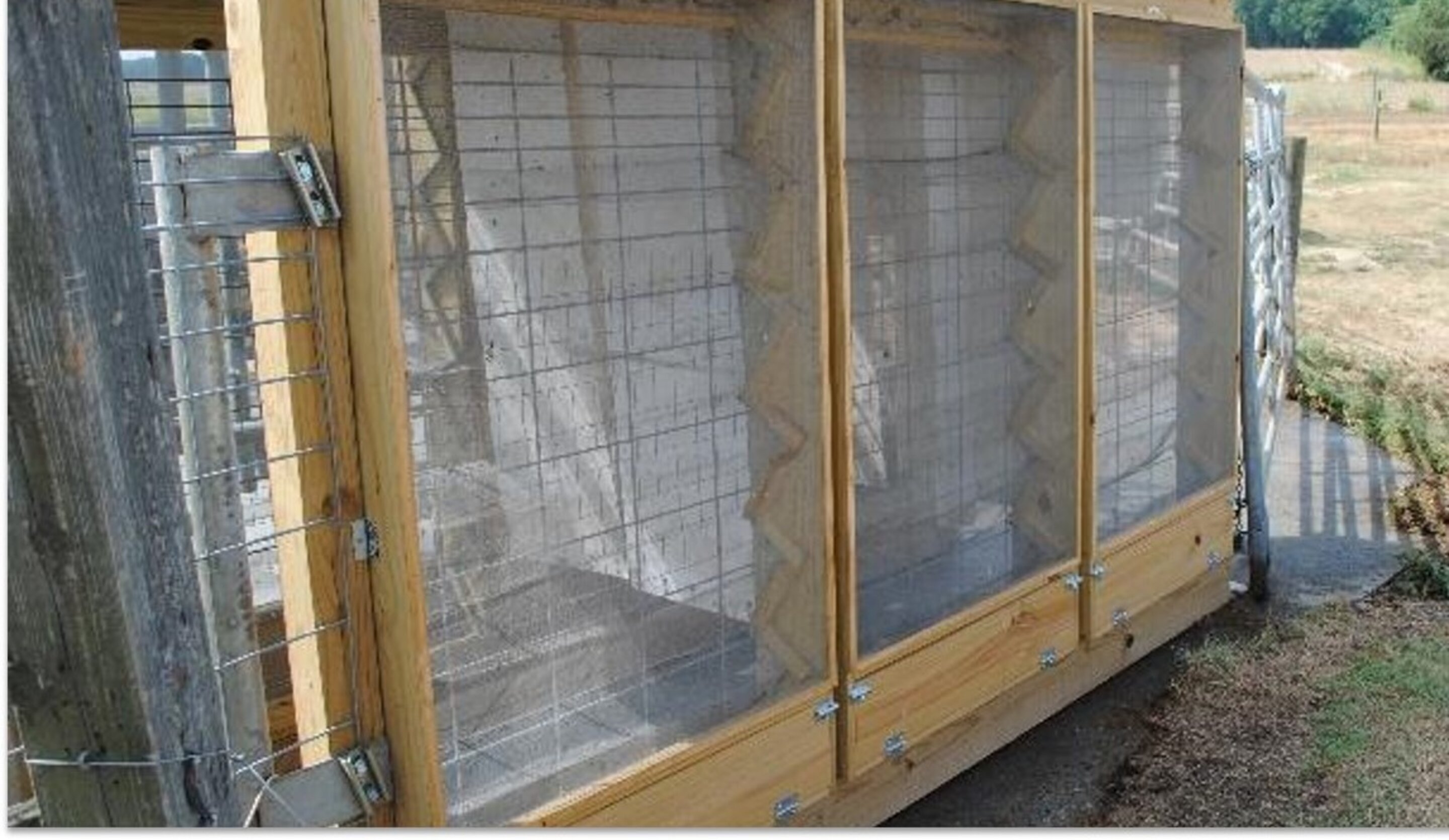 Horn Flies and Grazing Cattle | UNL Beef | Nebraska