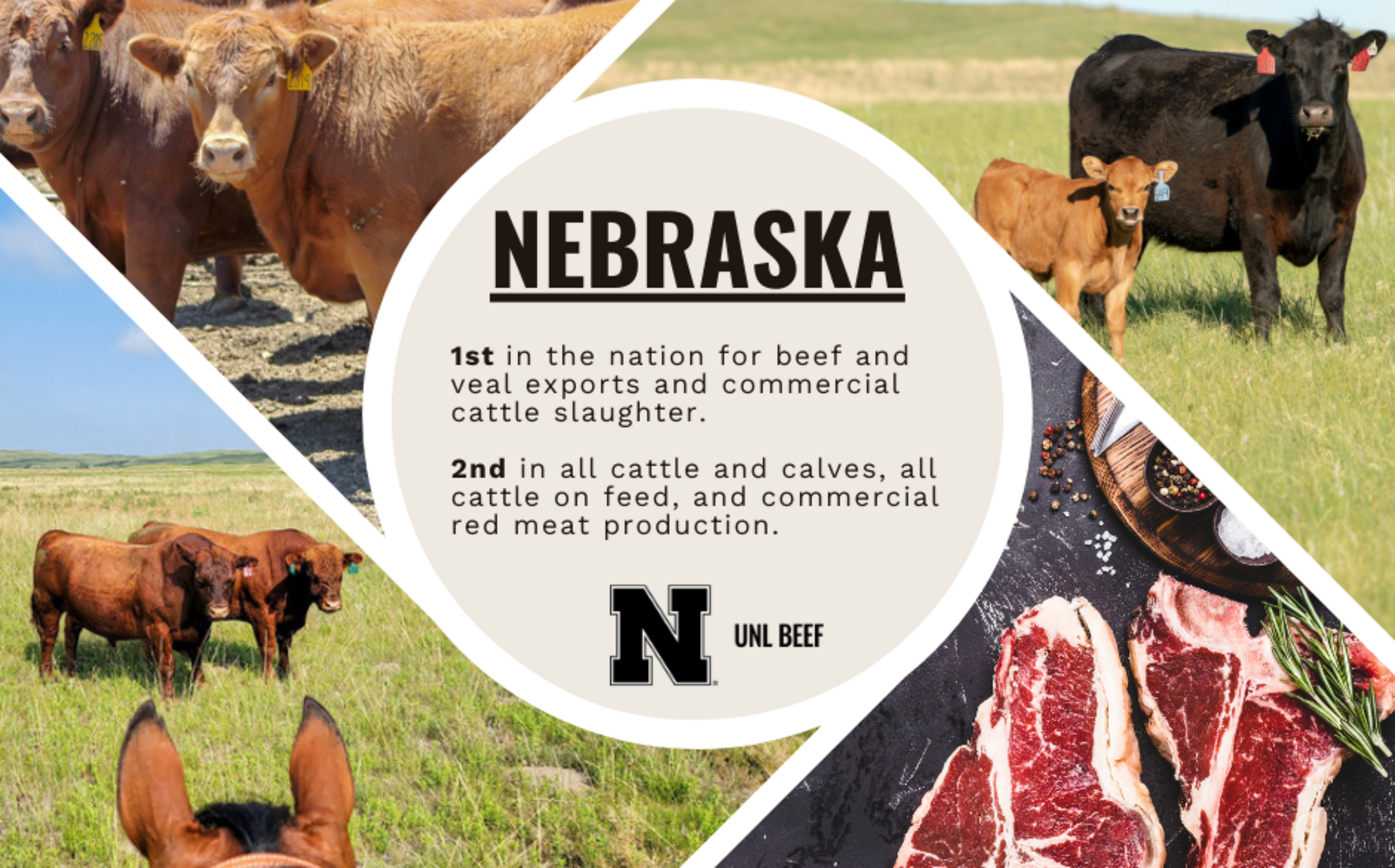 Celebrate the Beef State During National Beef Month | UNL Beef | Nebraska
