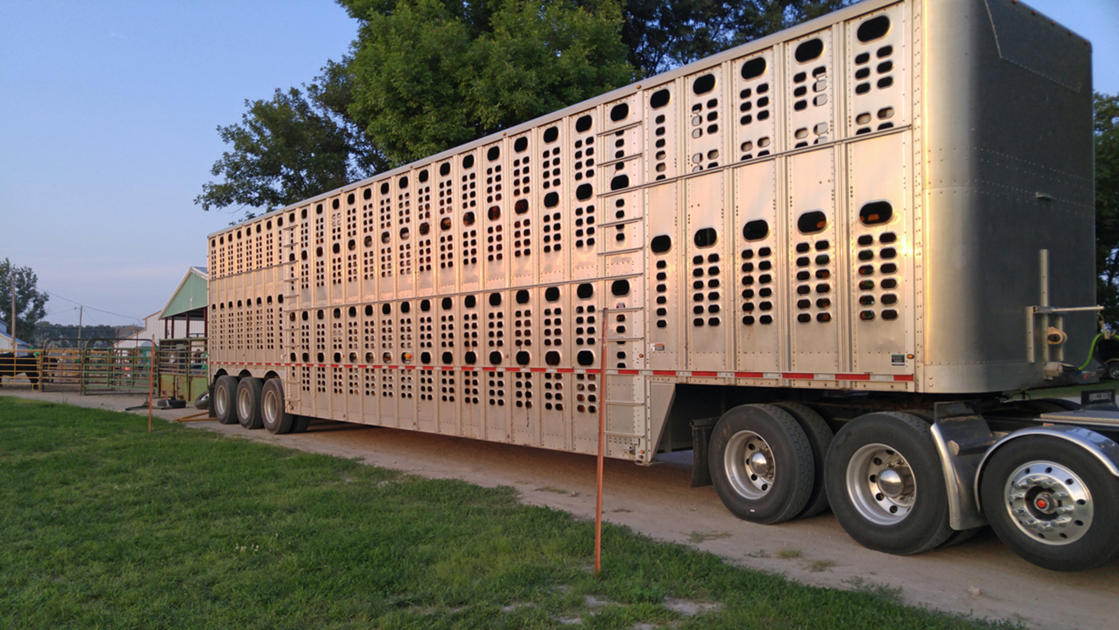 The Changing Cost of Cattle Transportation | UNL Beef | Nebraska