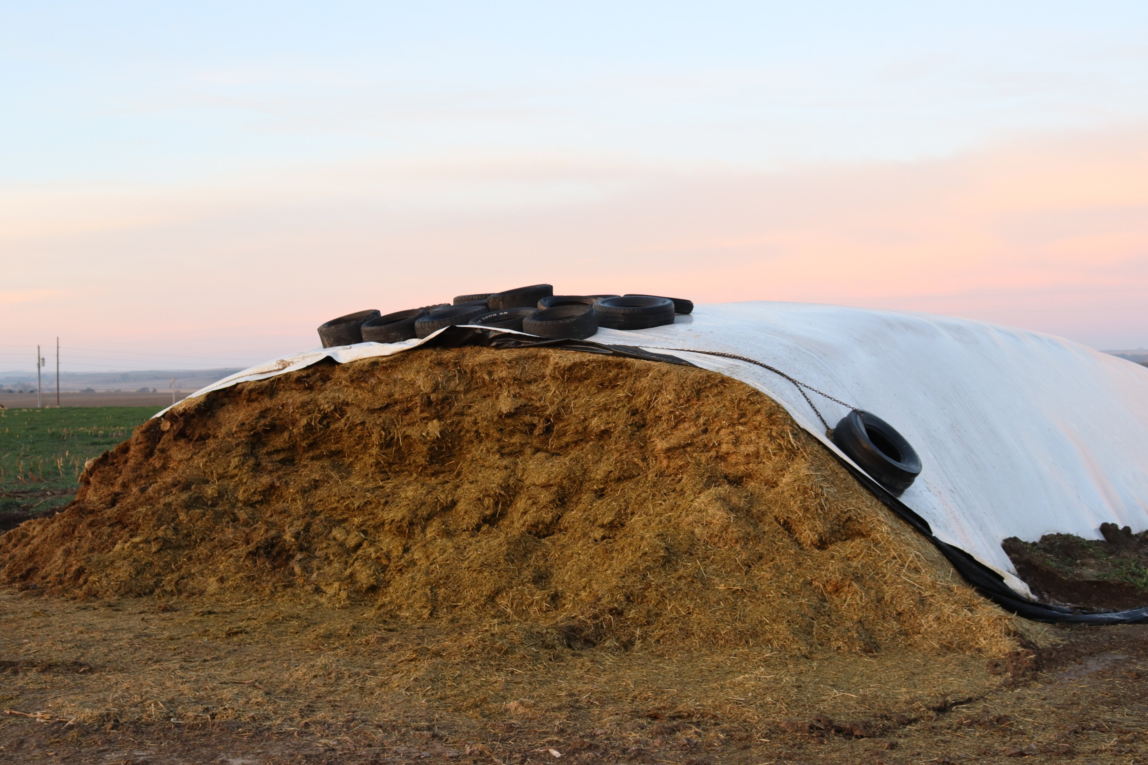 Start Planning Now for Silage Storage Later | UNL Beef | Nebraska