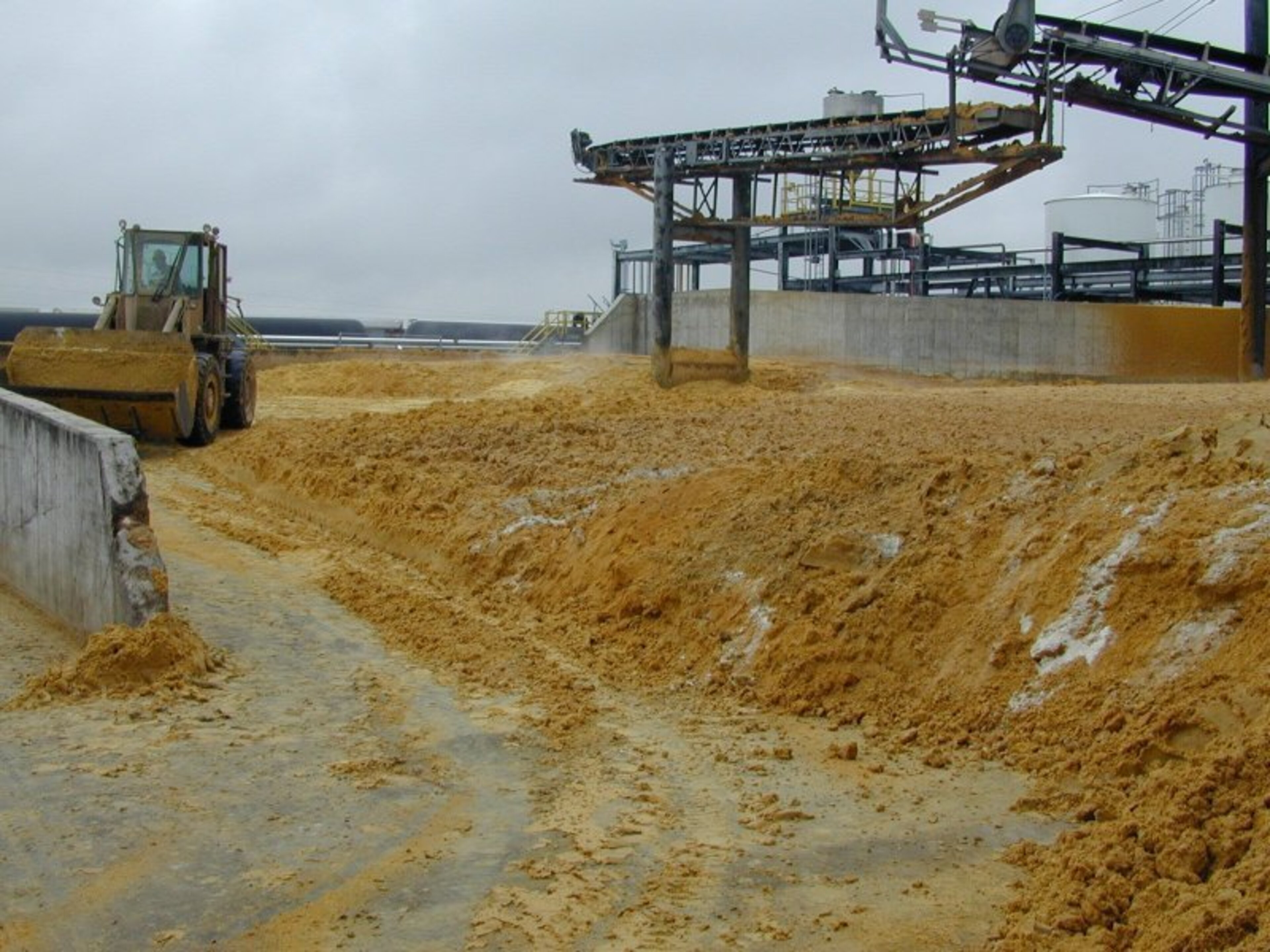 Opportunities for Distillers Feed Byproducts in your Beef Operation ...