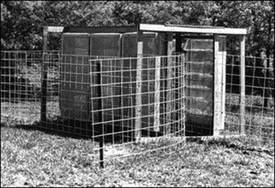 Horn flies and Control Options | UNL Beef | Nebraska