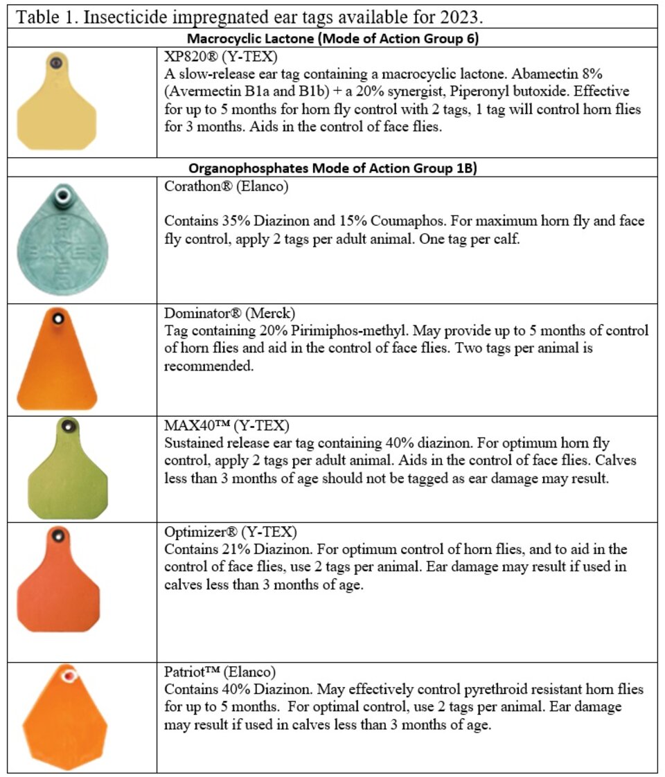 Insecticide Impregnated Ear Tags Available for 2023 | UNL Beef | Nebraska